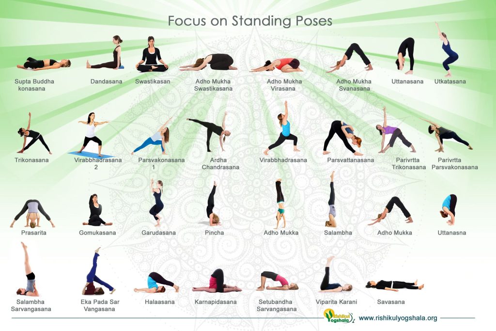 Exploring Different Types of Yoga Practices - e-ciger